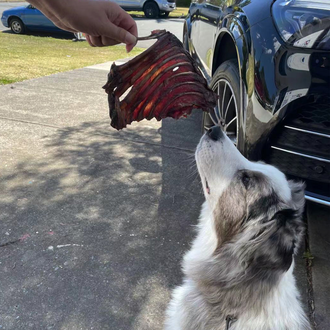 Kangaroo Ribs for Dogs | Long Lasting Dog Chews – Slobber Chops ...
